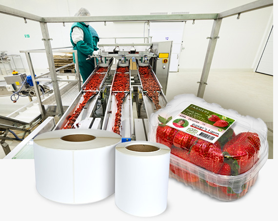 Printers for Custom Food Labels | Epson US