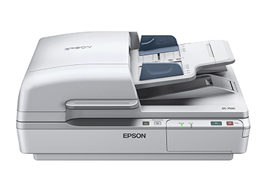 Scanners | Epson® Official Support