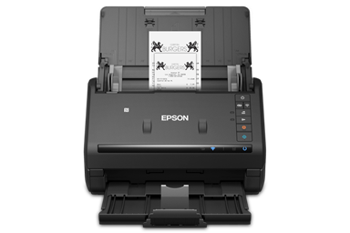 Scanners | For Work | Epson Canada