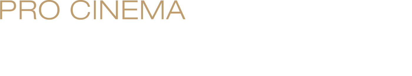 Professional Home Theatre Projector Installations | Epson Canada