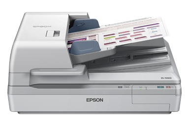 Scanners | Epson® Official Support